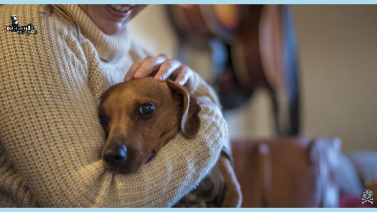 Velcro Dogs: Why Is My Dog So Clingy? • Doggozila Magazine