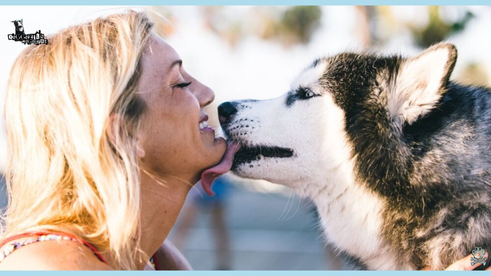 Why Do Dogs Lick You: Puppy Kisses As Quirky Slobber • Doggozila Magazine