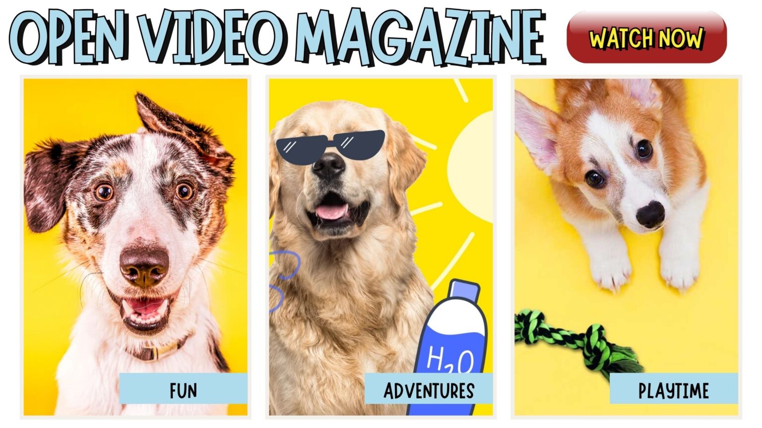 Dog Play Bow: What It Means and Why Dogs Do It? • Doggozila Magazine