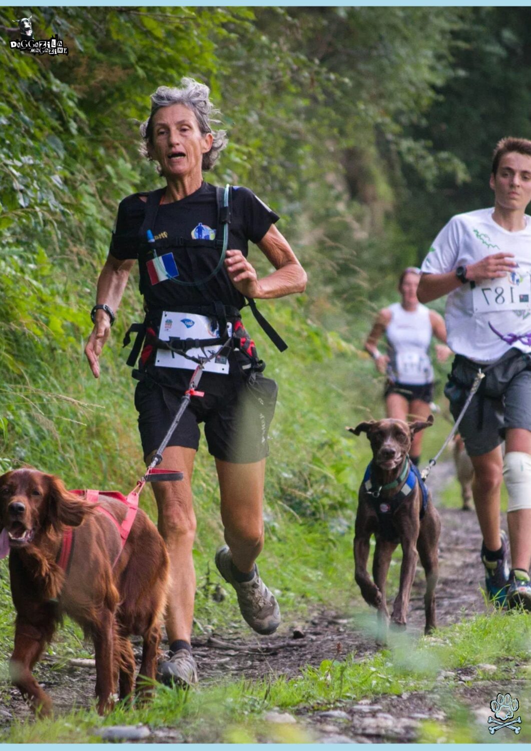 Cross Country Running with Dogs: Canicross Guide • Doggozila Magazine