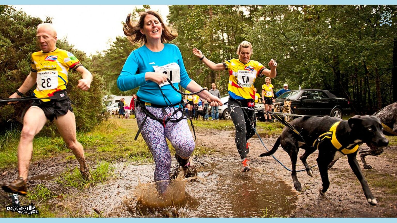 Cross Country Running with Dogs: Canicross Guide • Doggozila Magazine