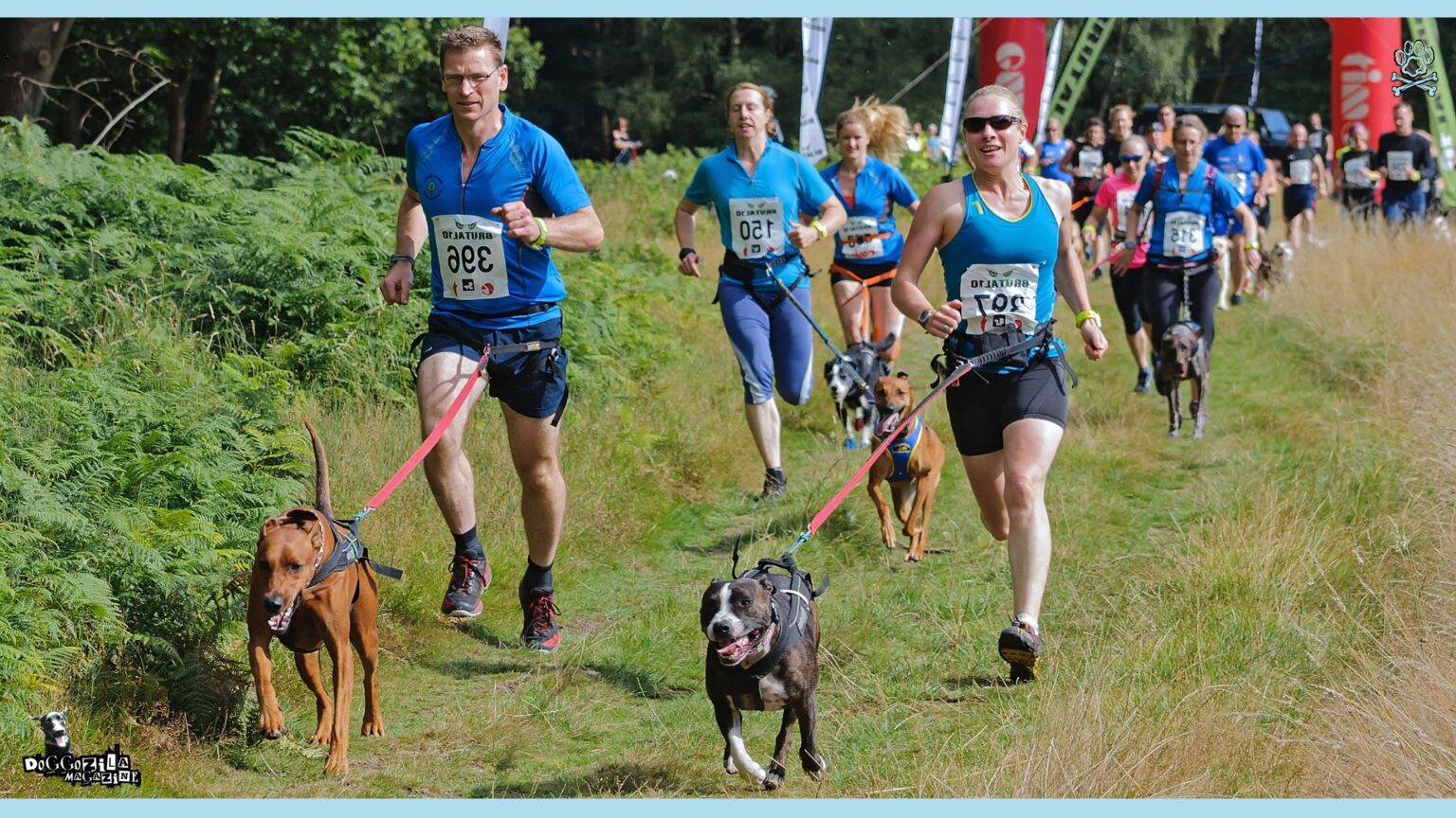 Cross Country Running with Dogs: Canicross Guide • Doggozila Magazine