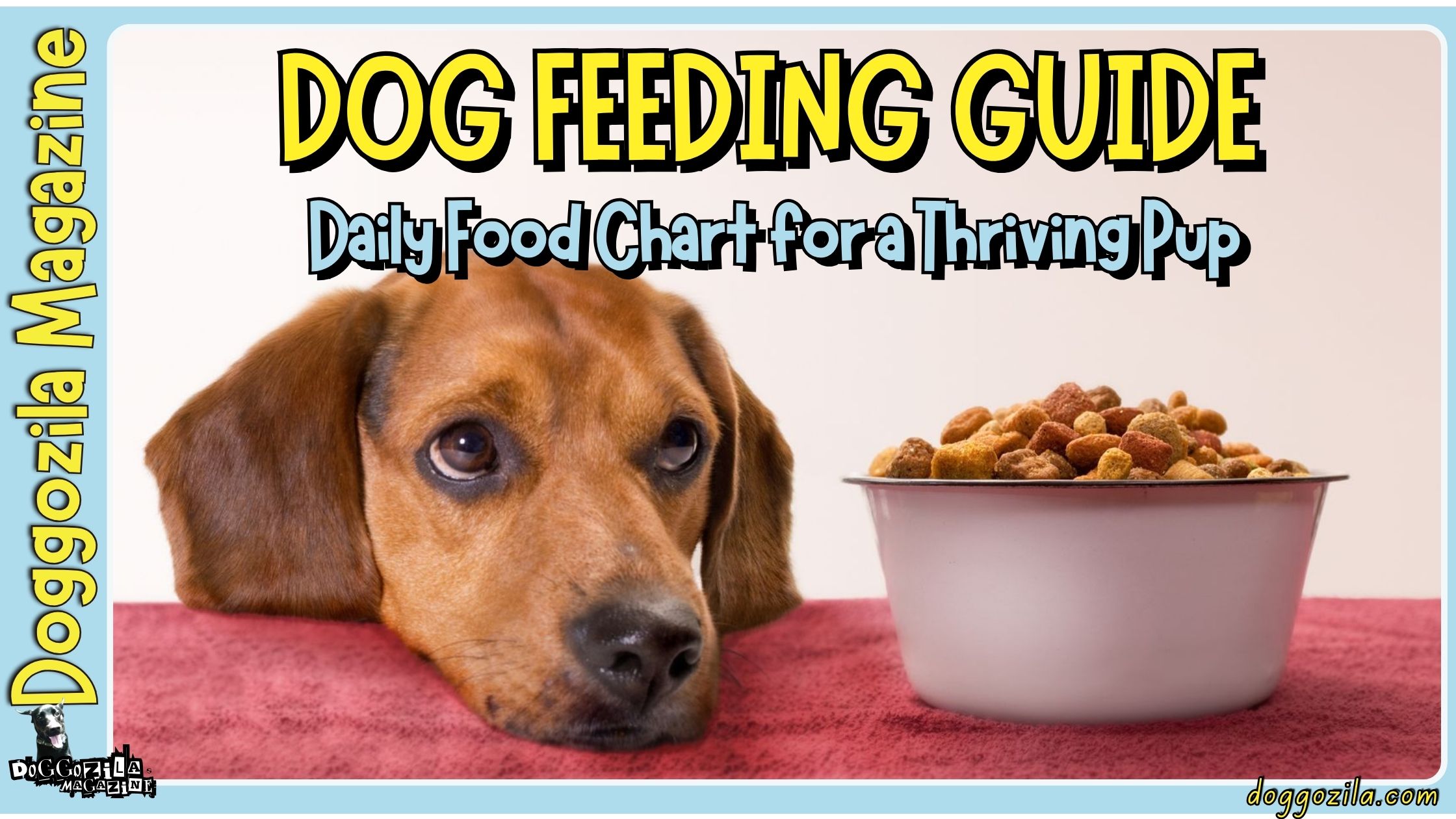 Dog Feeding Guide: Daily Food Chart for a Thriving Pup • Doggozila Magazine