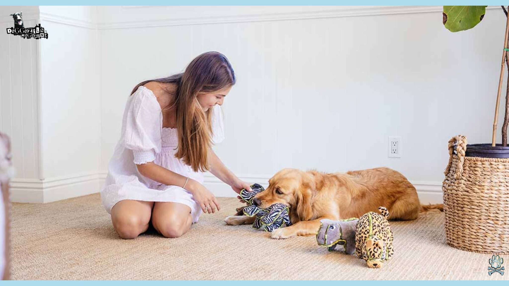 How to Teach Your Dog to Trade? Step By Step Guide • Doggozila Magazine