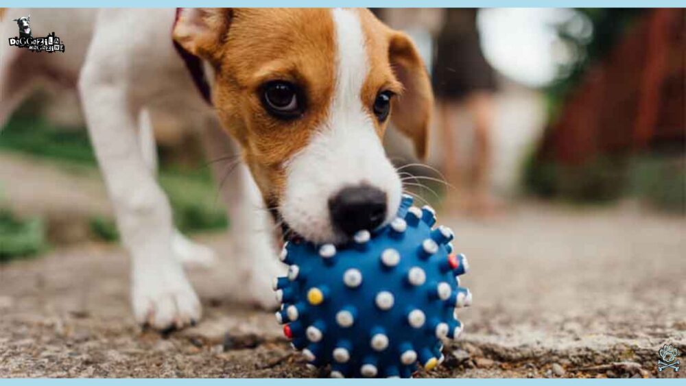 How to Teach Your Dog to Trade? Step By Step Guide • Doggozila Magazine