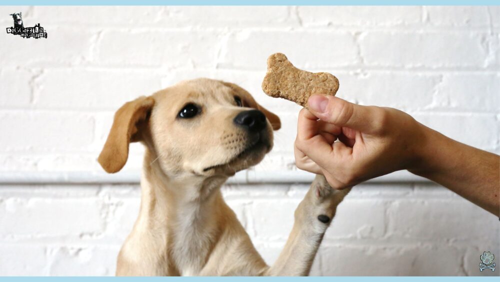 How to Teach Your Dog to Trade? Step By Step Guide • Doggozila Magazine