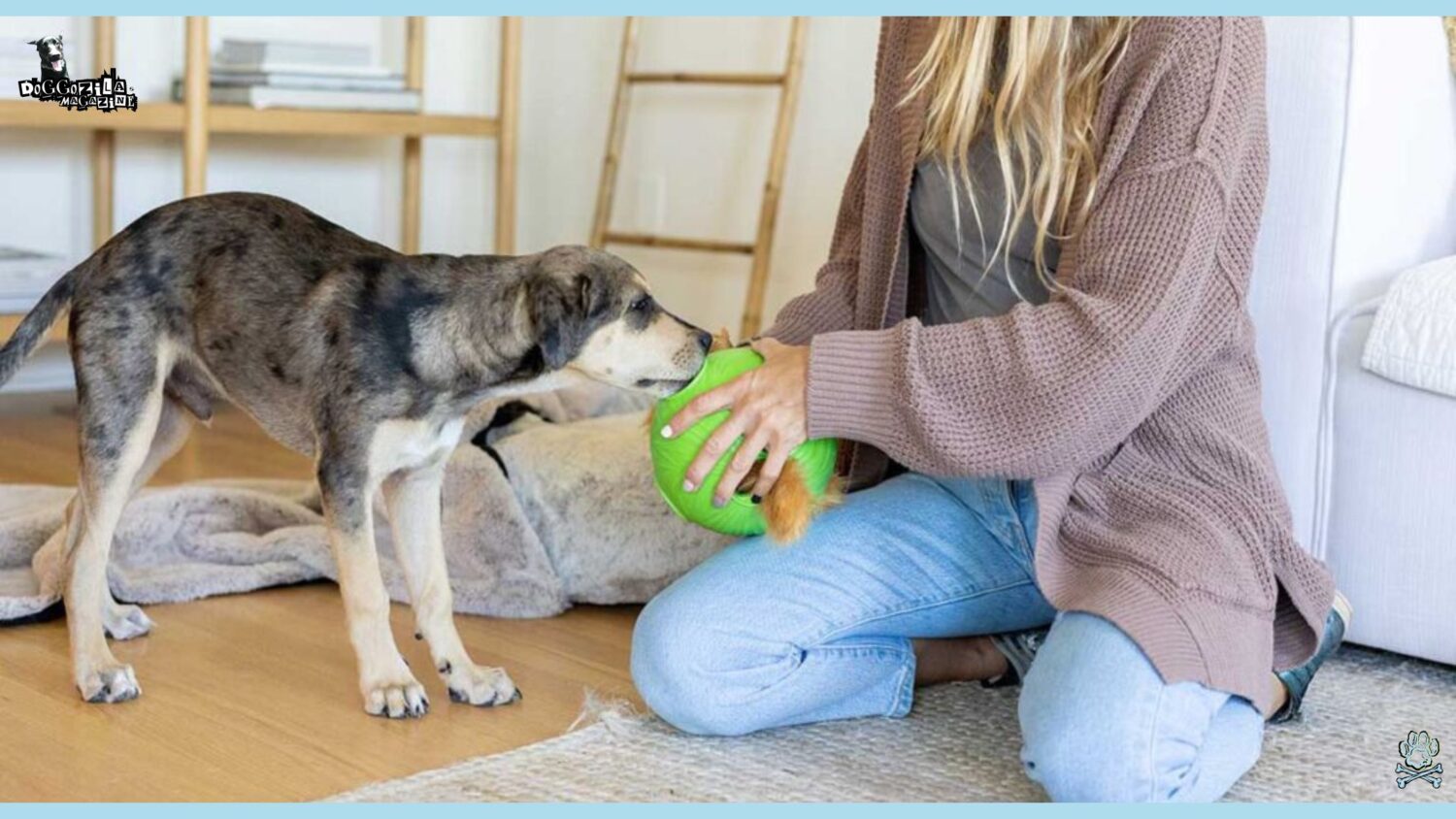 How to Teach Your Dog to Trade? Step By Step Guide • Doggozila Magazine