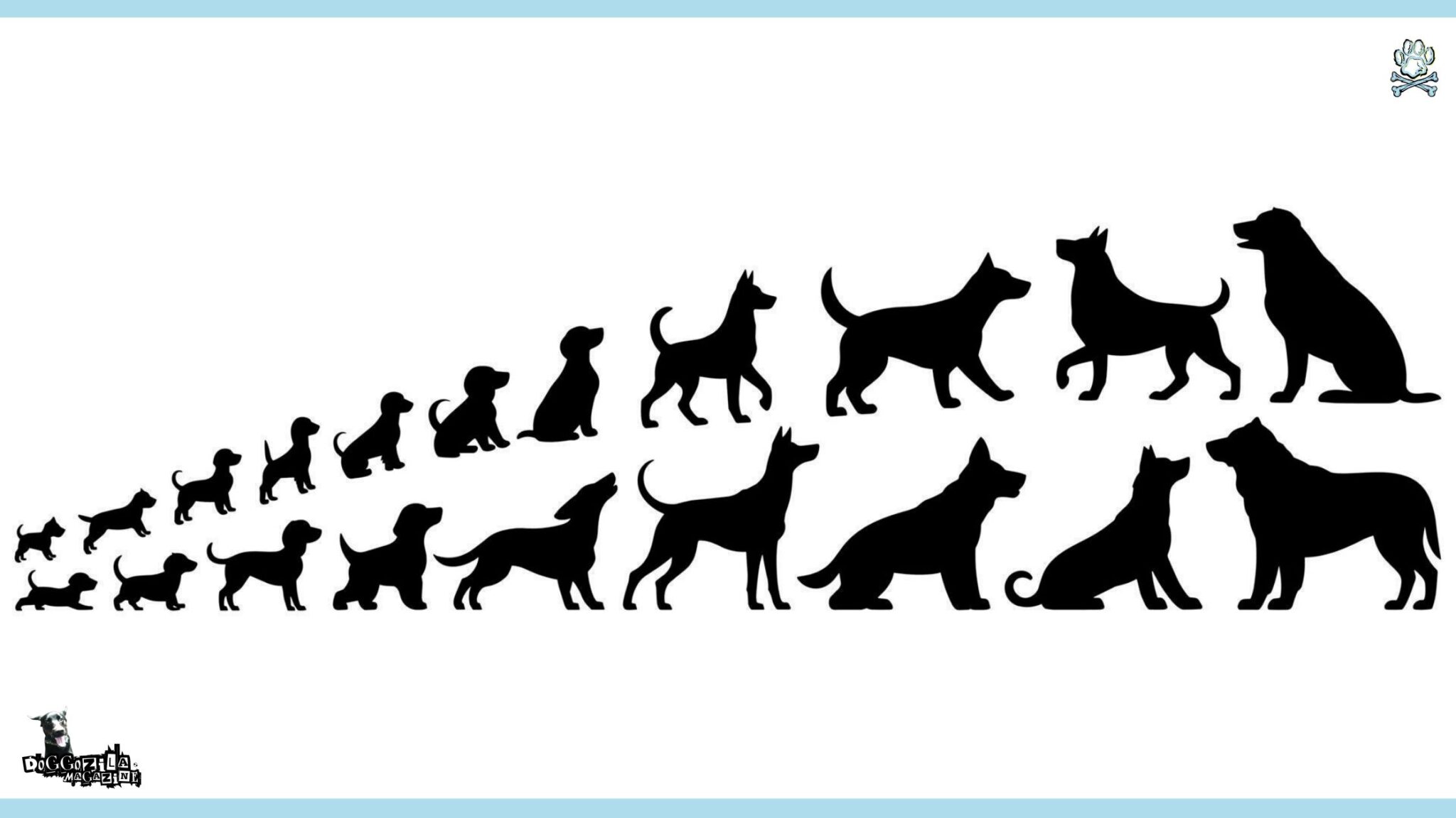When Do Puppies Stop Growing? Dog Growth Stages • Doggozila Magazine