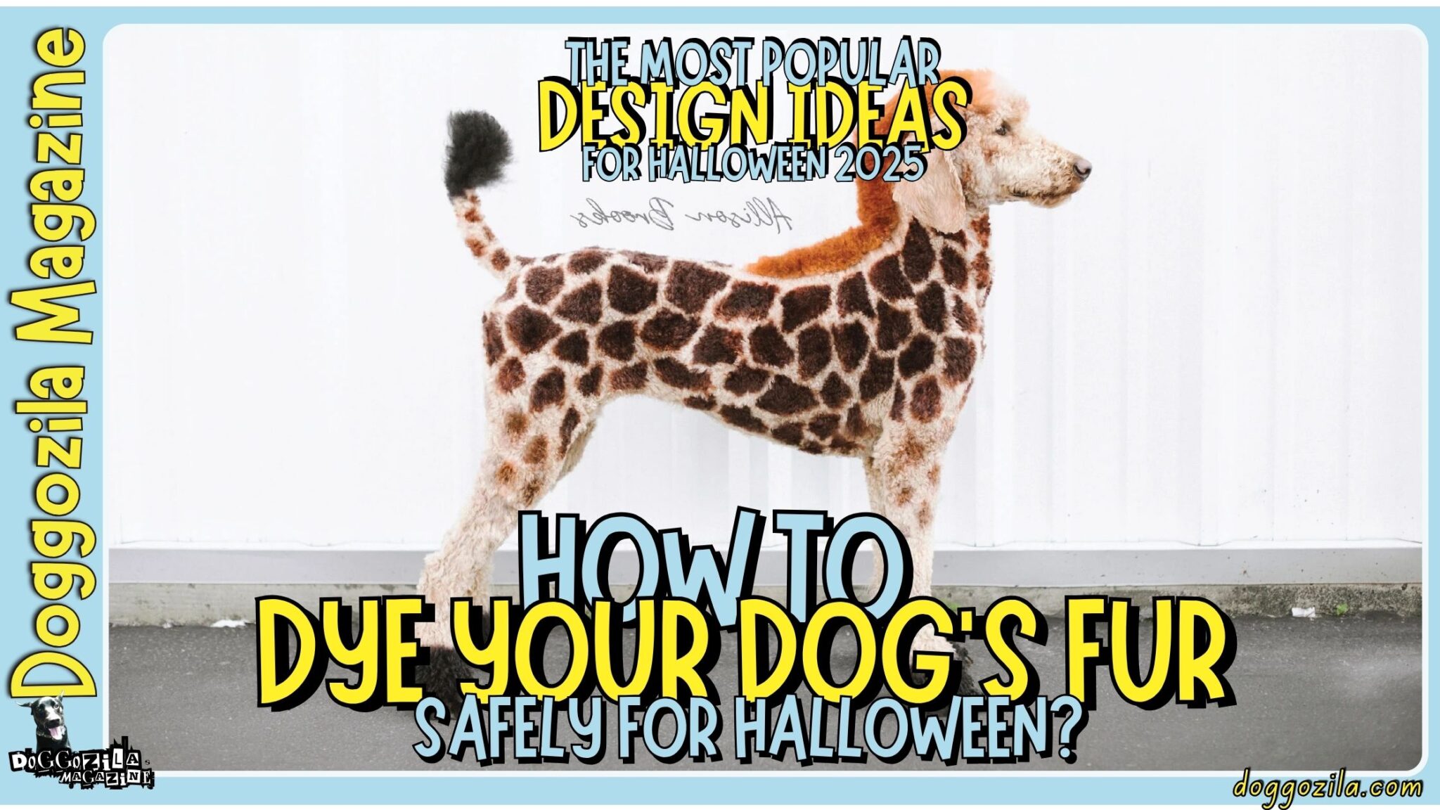 Doggozila – Healthy Dog Lifestyle Magazine
