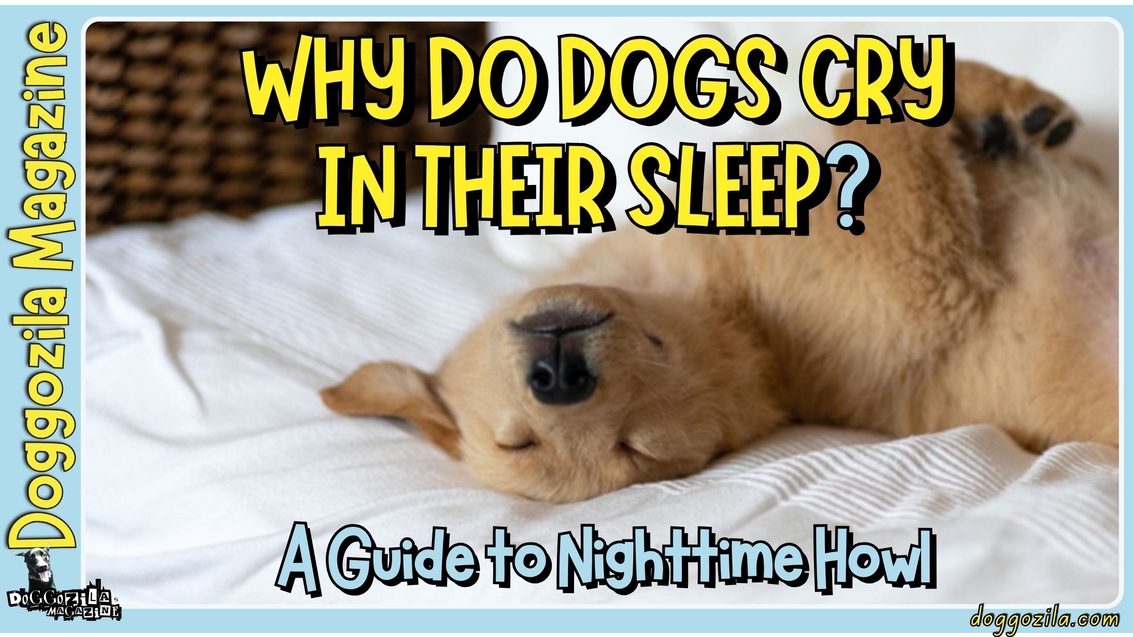 Inspiring Why Do Dogs Howl In Their Sleep Pictures