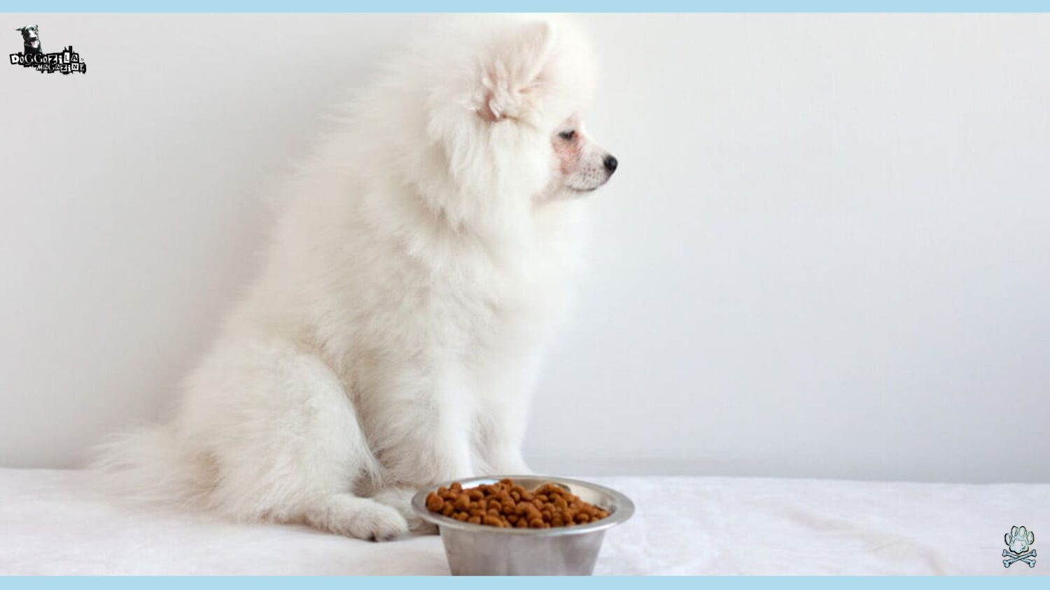 Dog Not Eating but Acting Normal: Vet-Approved Tips • Doggozila Magazine