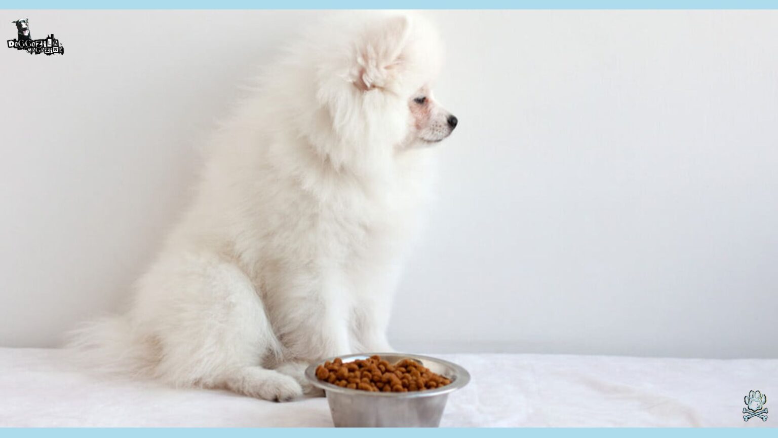 Dog Not Eating but Acting Normal: Vet-Approved Tips • Doggozila Magazine