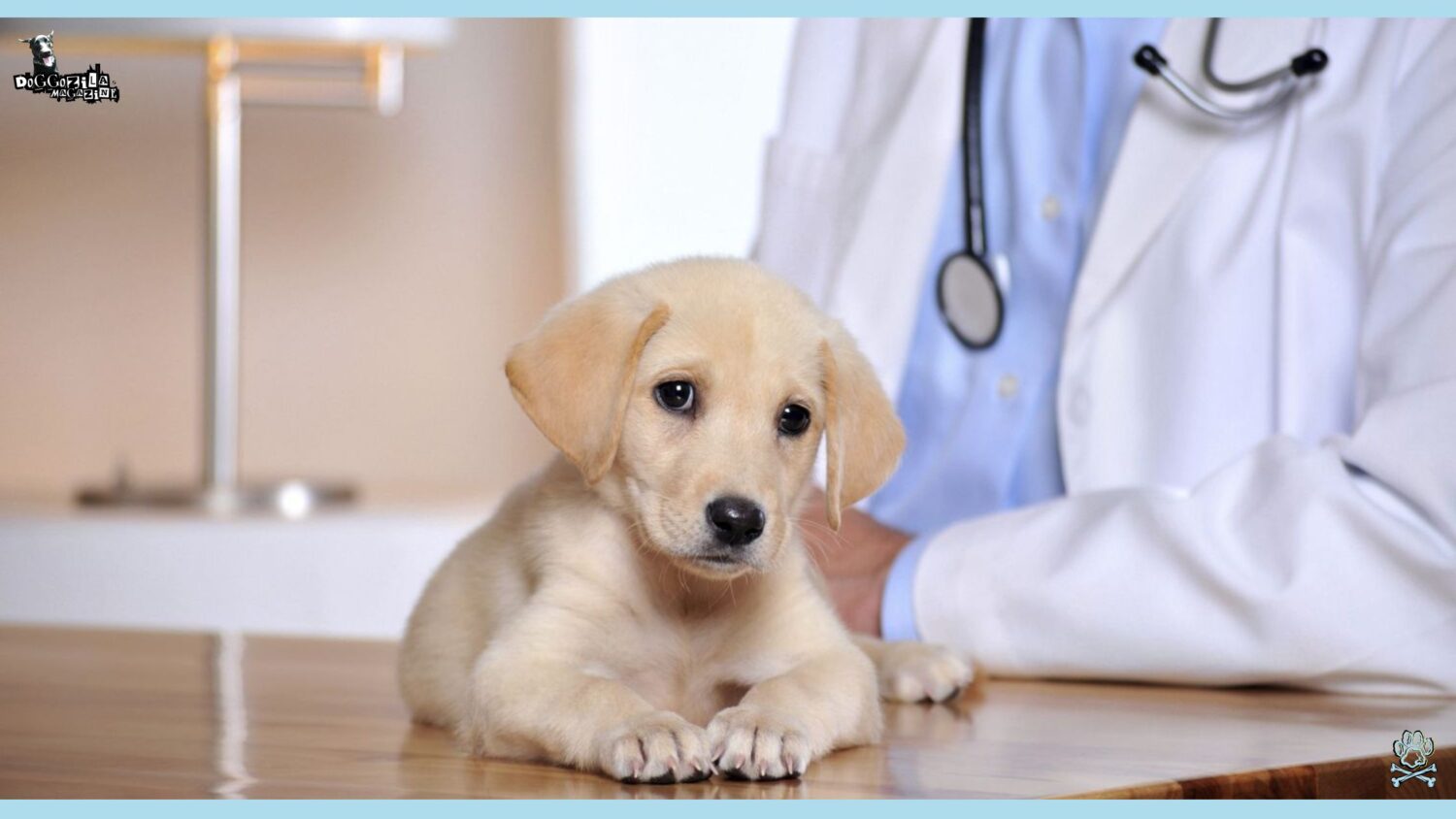 Latest Dog Research: Science and Care Insights • Doggozila Magazine