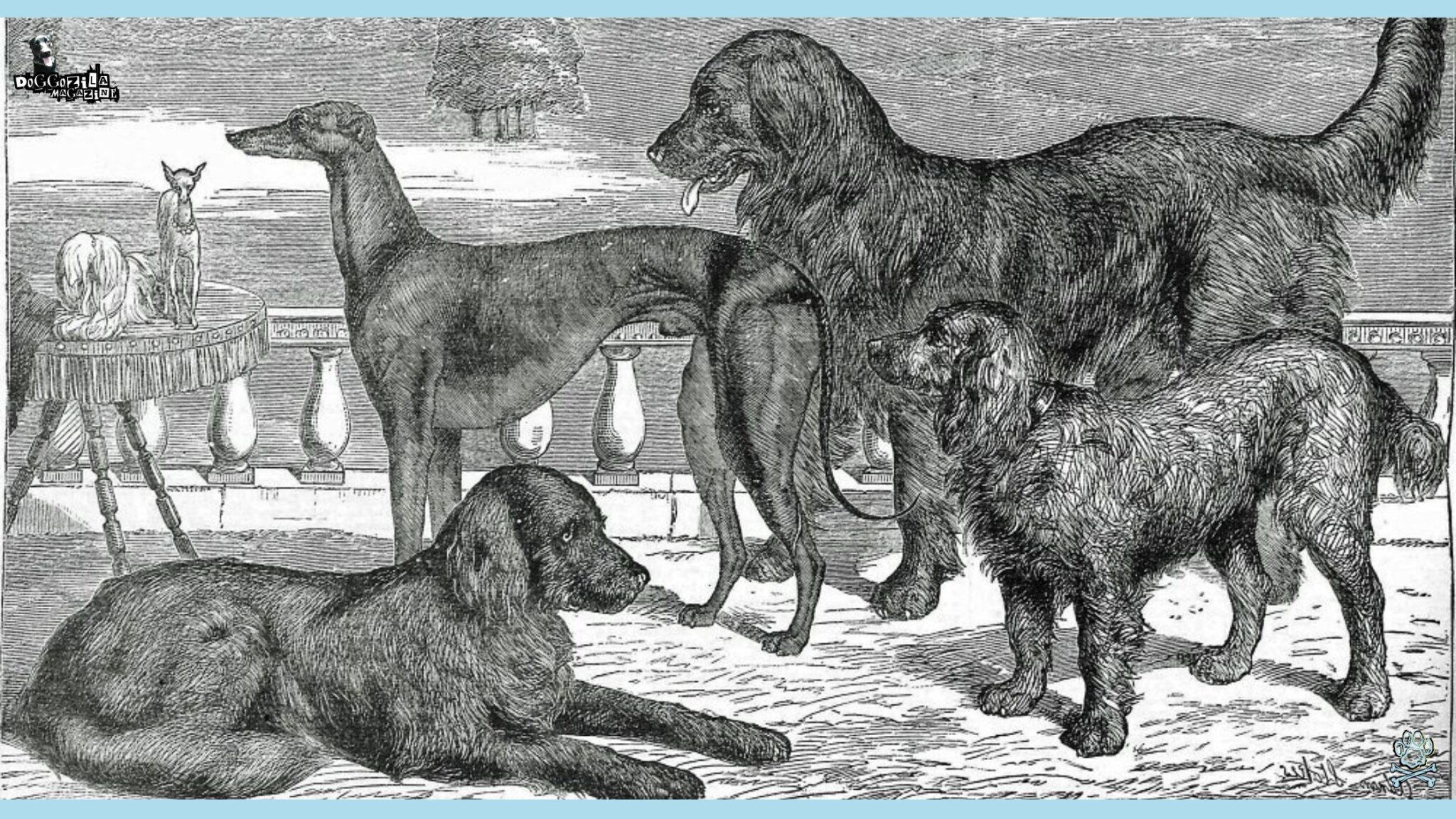 Historical Dog Breeds: Dog Tales from the Past • Doggozila Magazine