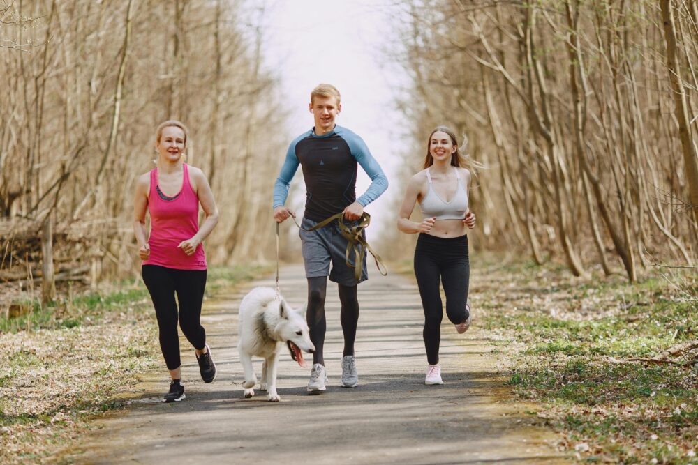 Natural Dog Health and Wellness: The Power of Nature • Doggozila Magazine